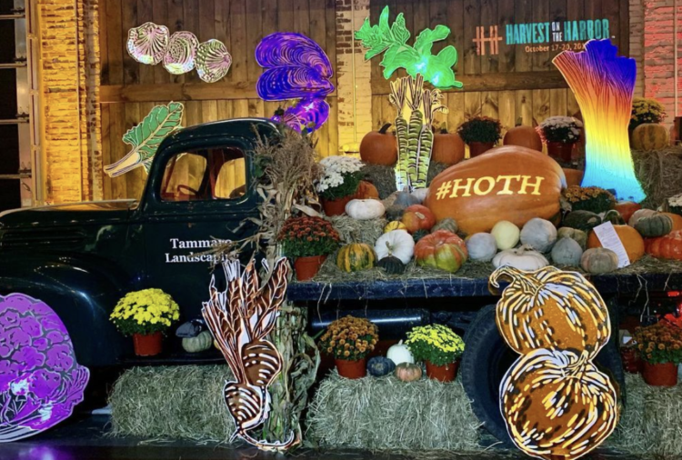Autumn Adventures Await: Maine’s Festival Season Is Calling In 2025