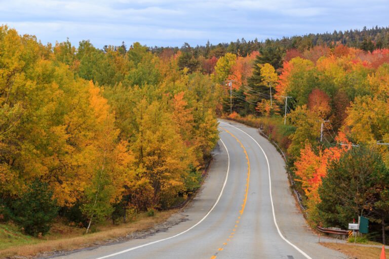 Fall In Love With Maine & These Gorgeous Leaf-Peeping Spots