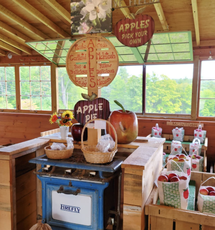2025 Guide To Apple Picking Maine Orchards