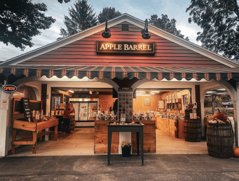 2025 Guide To Apple Picking Maine Orchards