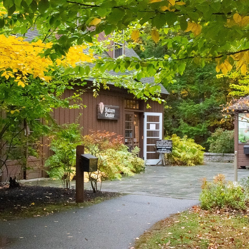 7 BEST Things To Do In The Wild Gardens Of Acadia This Year