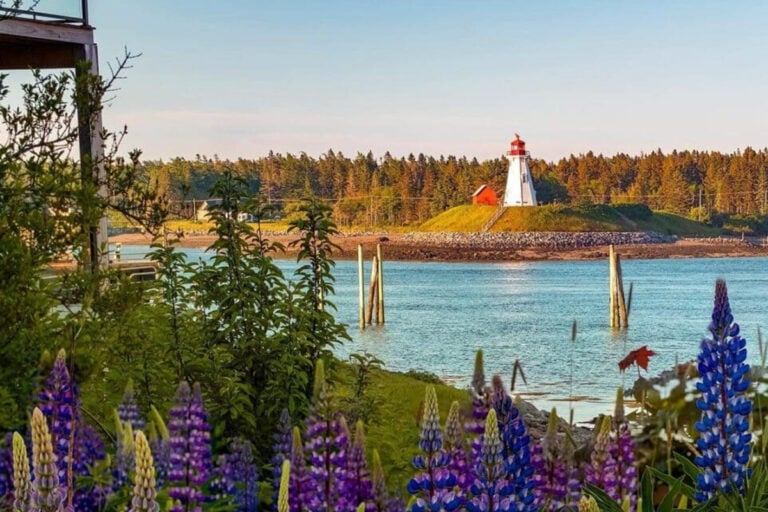 30 BEST Spring Things To Do In Maine This Year [NEW 2025]