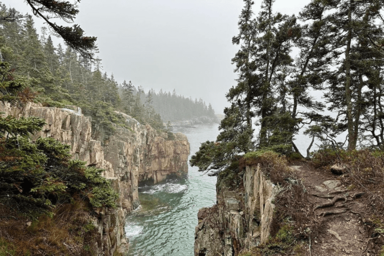 2026 ULTIMATE Guide To Acadia's Schoodic Peninsula