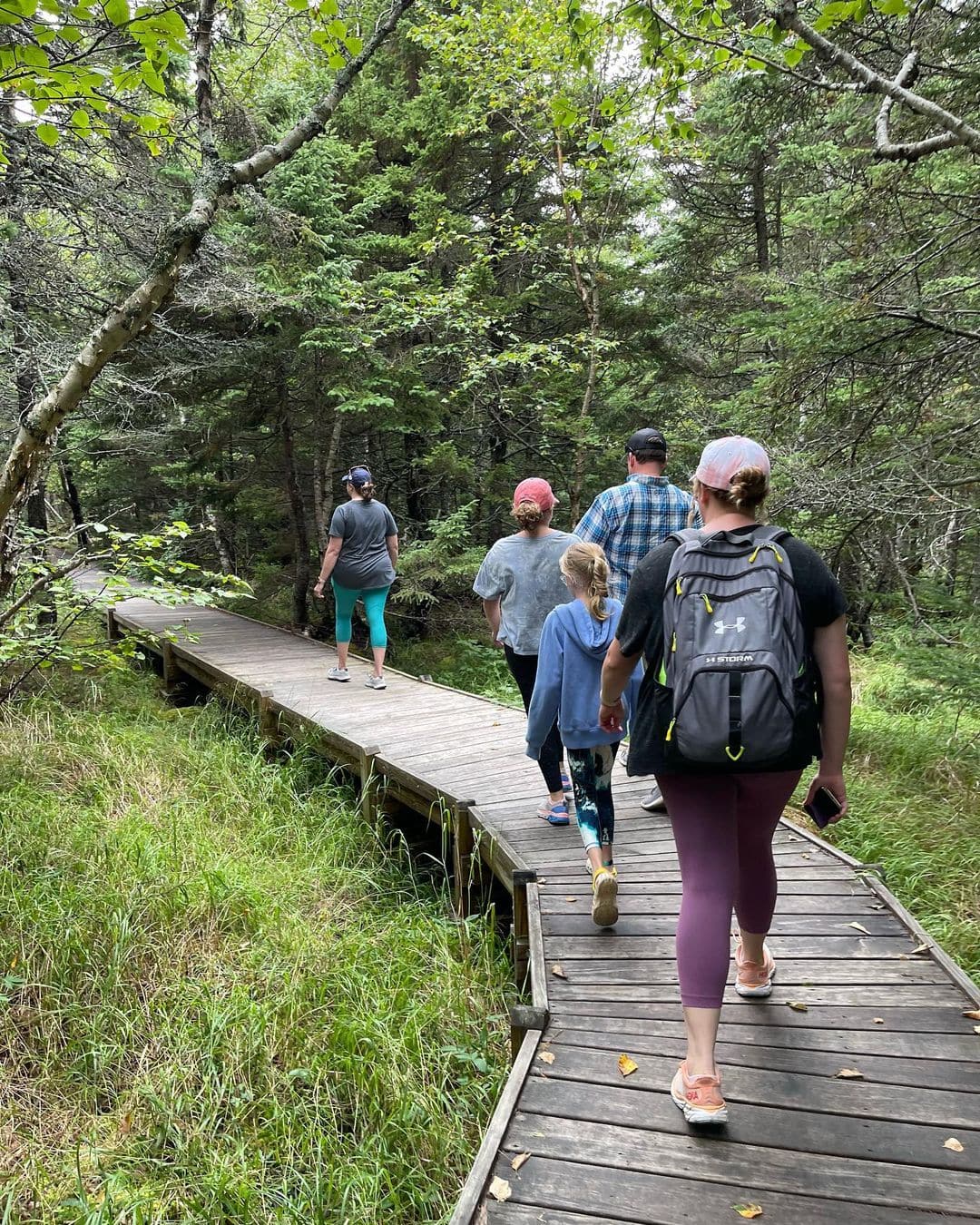 2026 ULTIMATE Guide To Acadia's Schoodic Peninsula