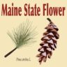 Did You Know These Facts About Maine State Symbols & Flag?