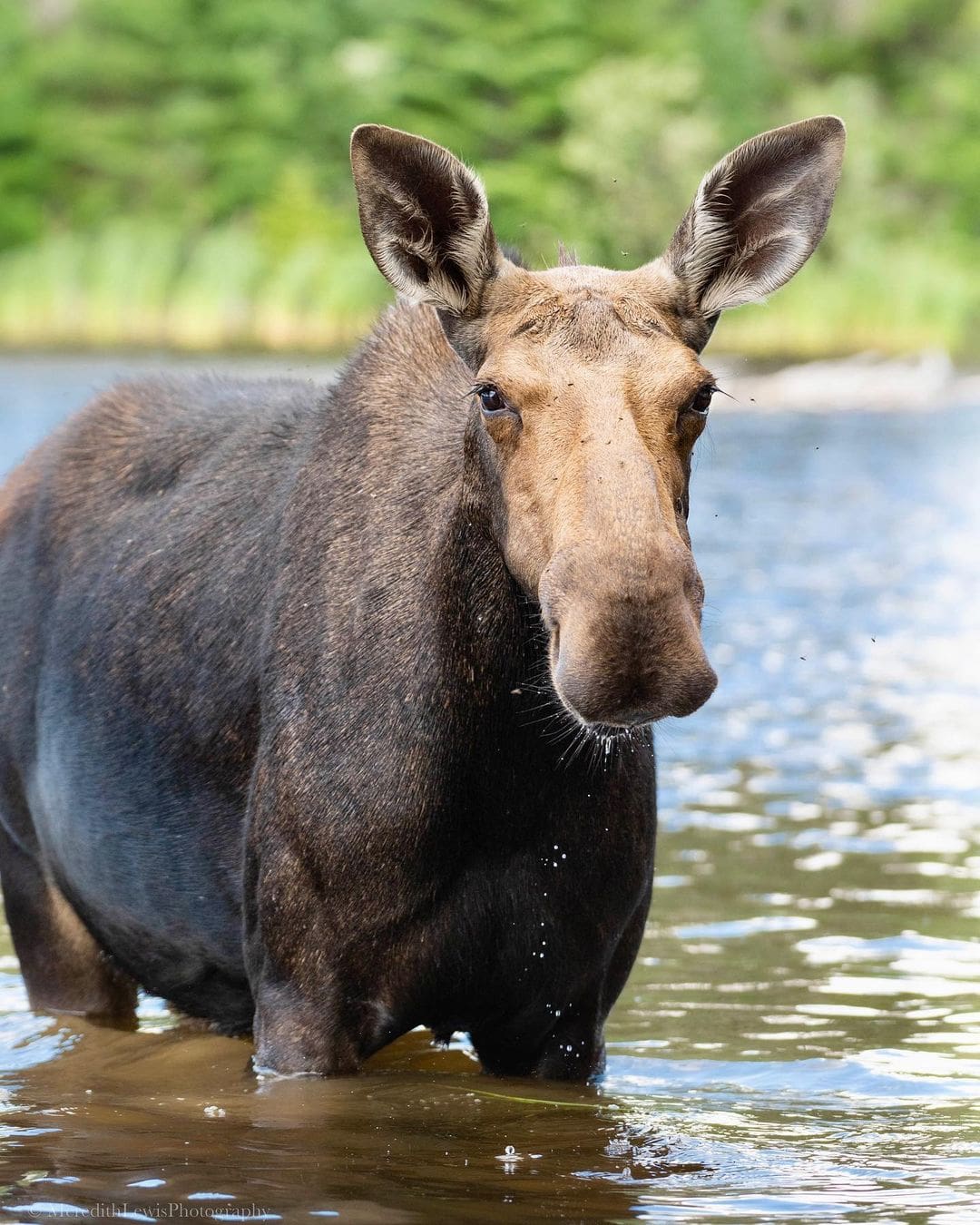 19 Things You Can *Only* Do In Maine