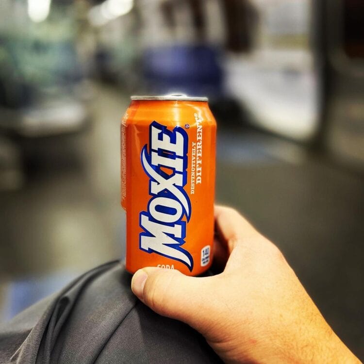 Did You Know These Facts About Maine State Symbols & Flag?