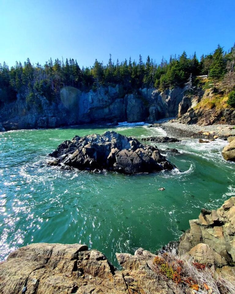 The ULTIMATE Guide To The Quoddy Loop