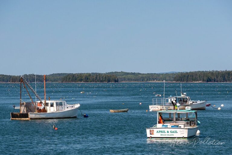 2024 Guide To The BEST Maine Harbors