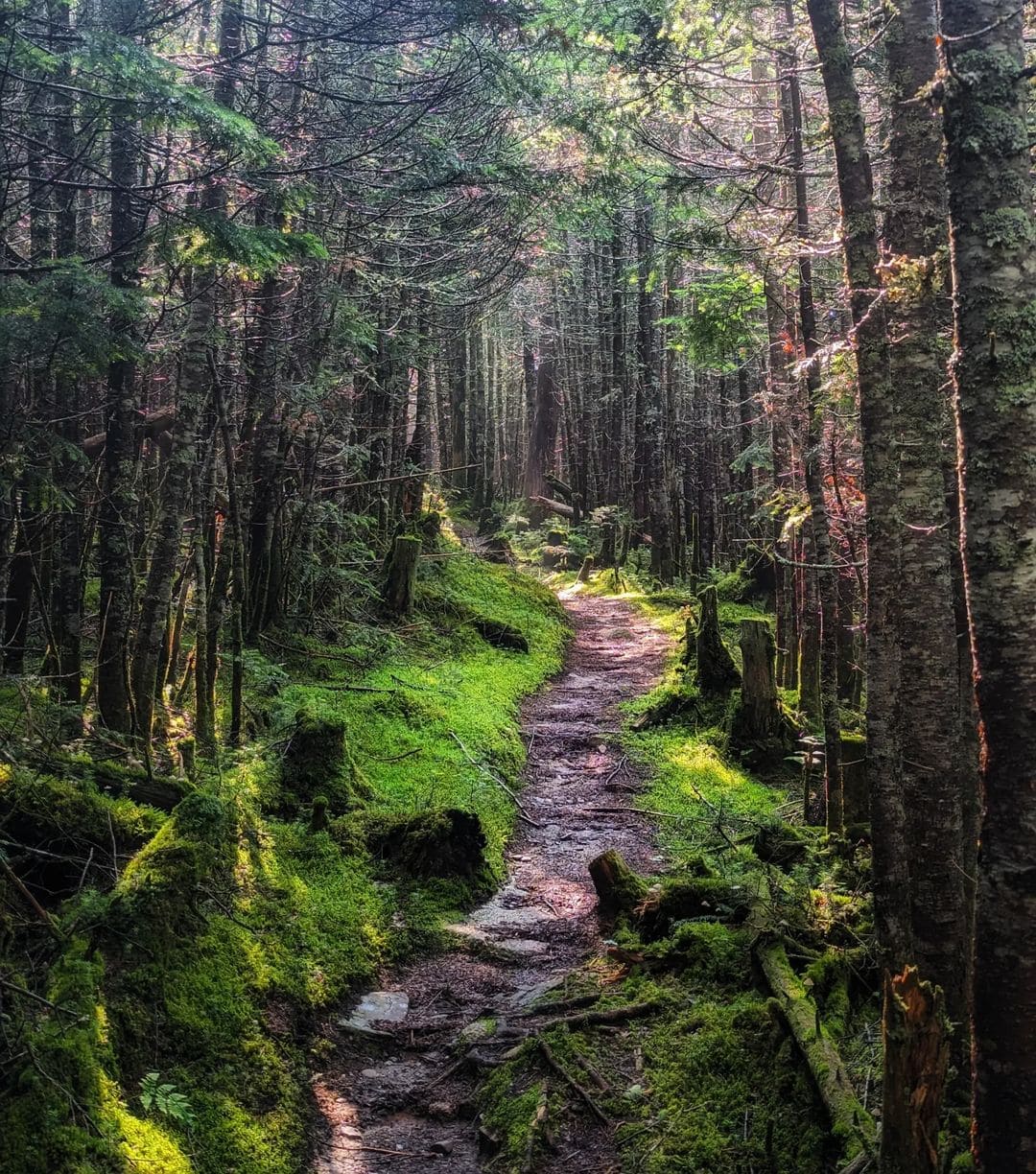 2026 Complete Guide To Visiting Baxter State Park