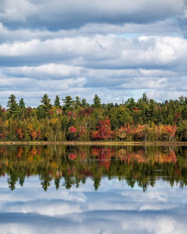 ULTIMATE 2025 Guide Things To Do In Millinocket Maine