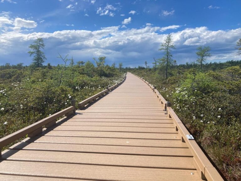 23 Best Places To Visit In Maine In The Spring