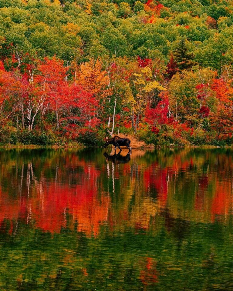 2026 Complete Guide To Visiting Baxter State Park