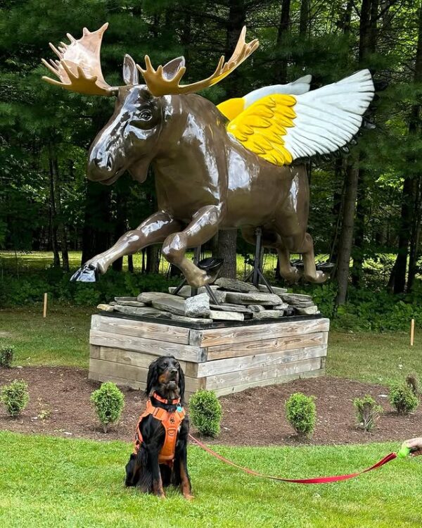 15+ Quirky Roadside Attractions In Maine Towns