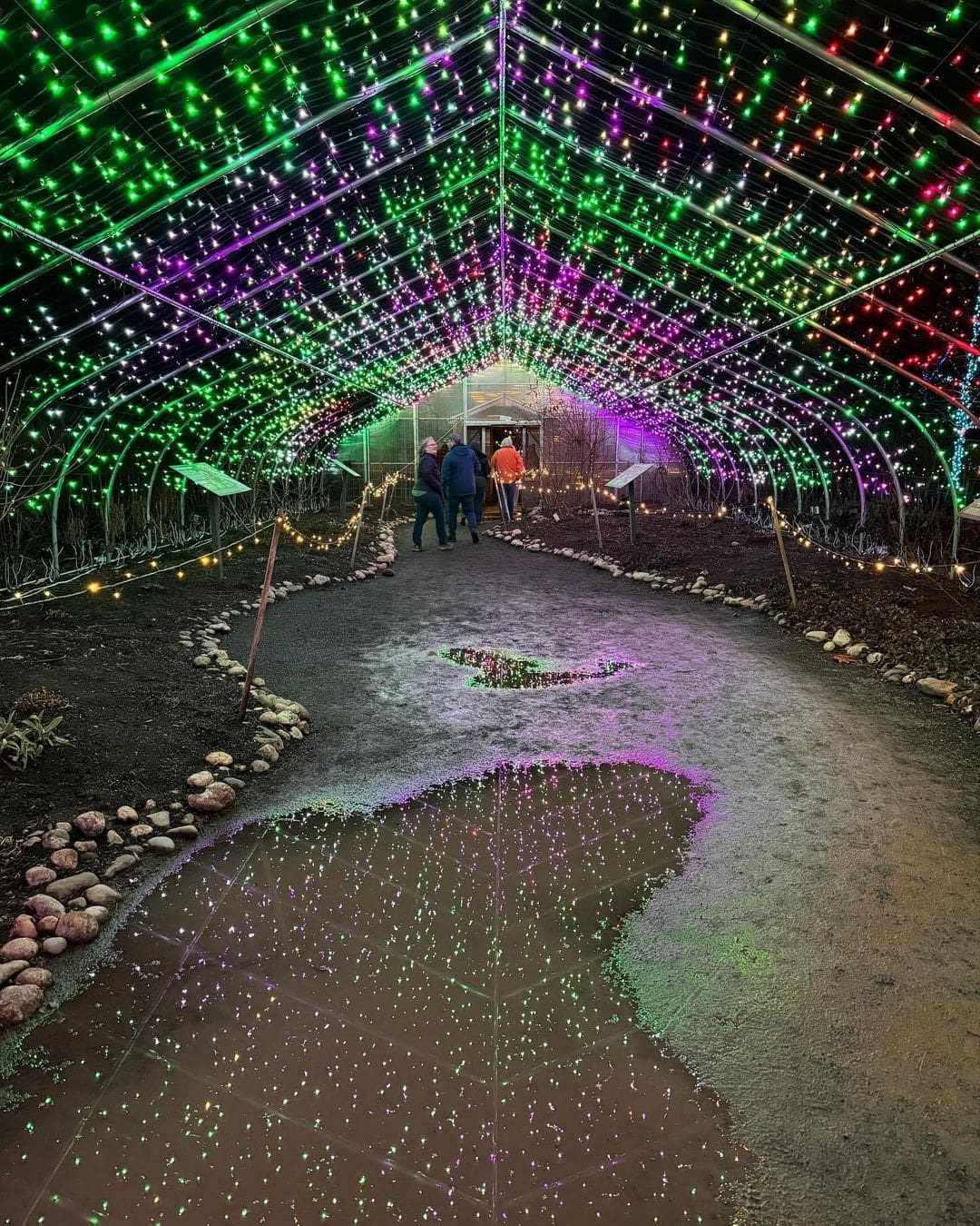 ULTIMATE Guide To 2025 Gardens Aglow Maine In Boothbay