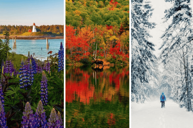 2025 ULTIMATE Guide To Visit Maine: Seasonal Differences