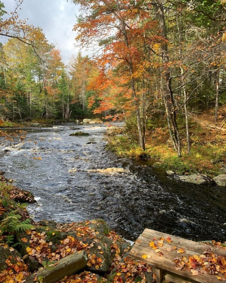 The Places You Must Explore This Fall In Coastal Maine