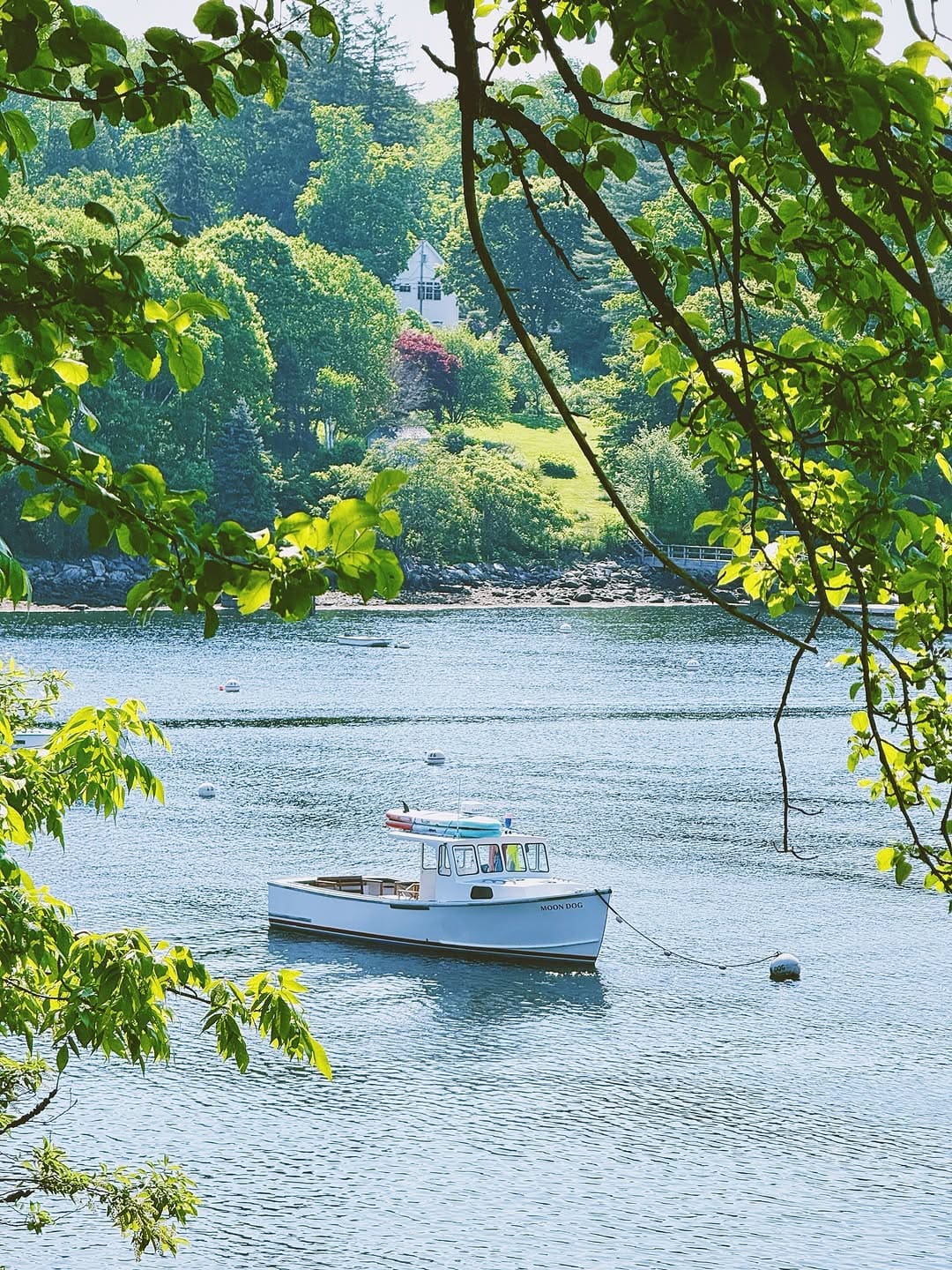 Travel + Discover Rockport: Maine Vacation Guide